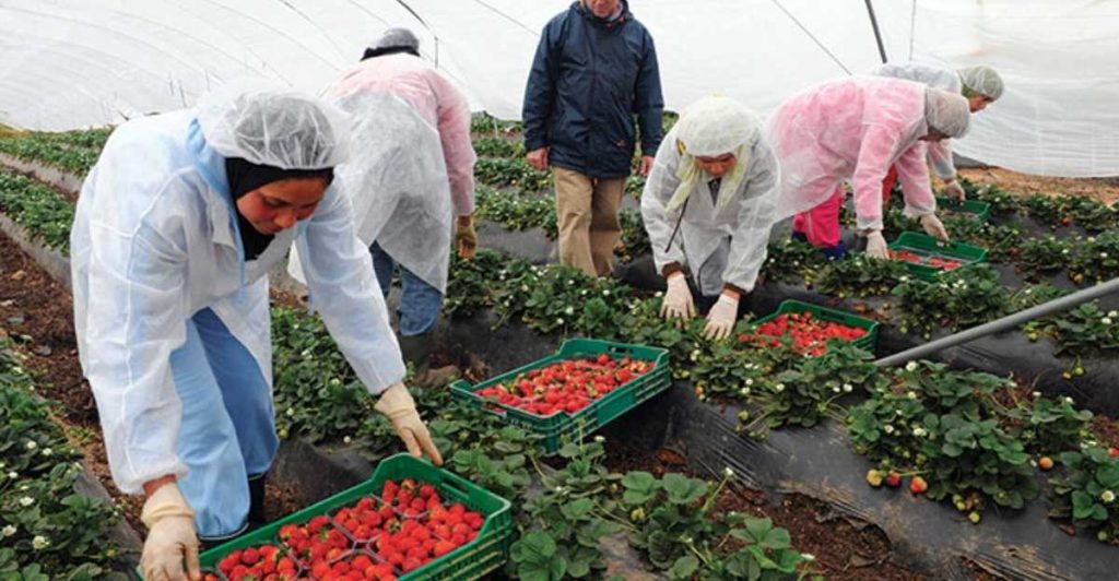 Sodexo Pass Maroc devient Pluxee Maroc - DRH.ma